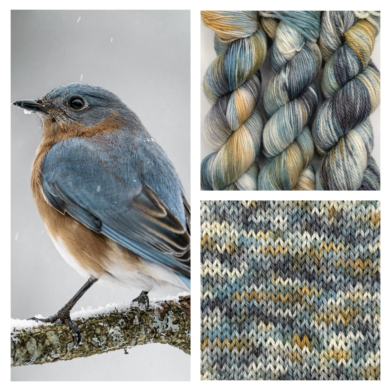Blessed Bluebird Hand Dyed Merino Wool Yarn – Arcane Fibre Works