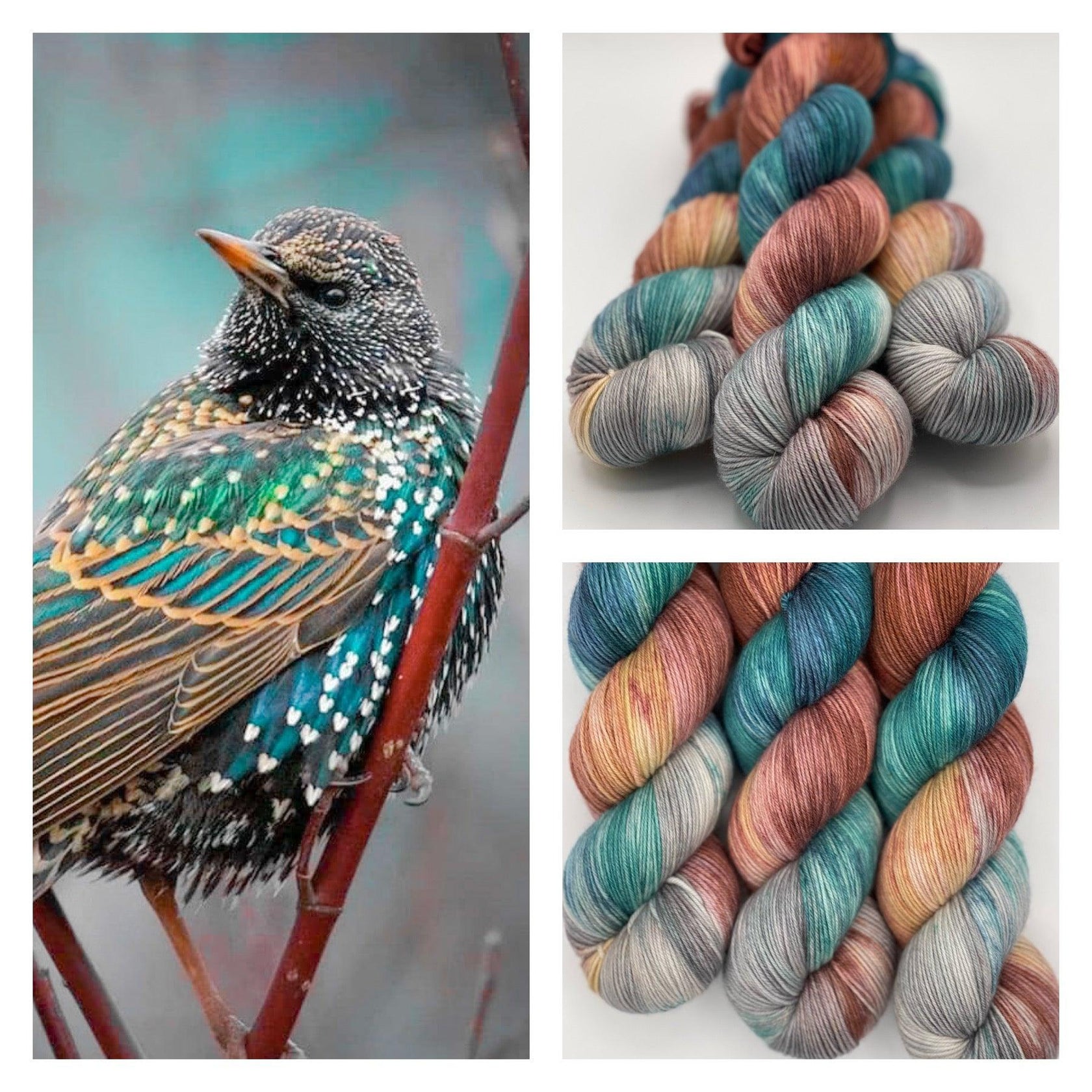 Bird Is The Word Hand Dyed Merino Wool Yarn – Arcane Fibre Works